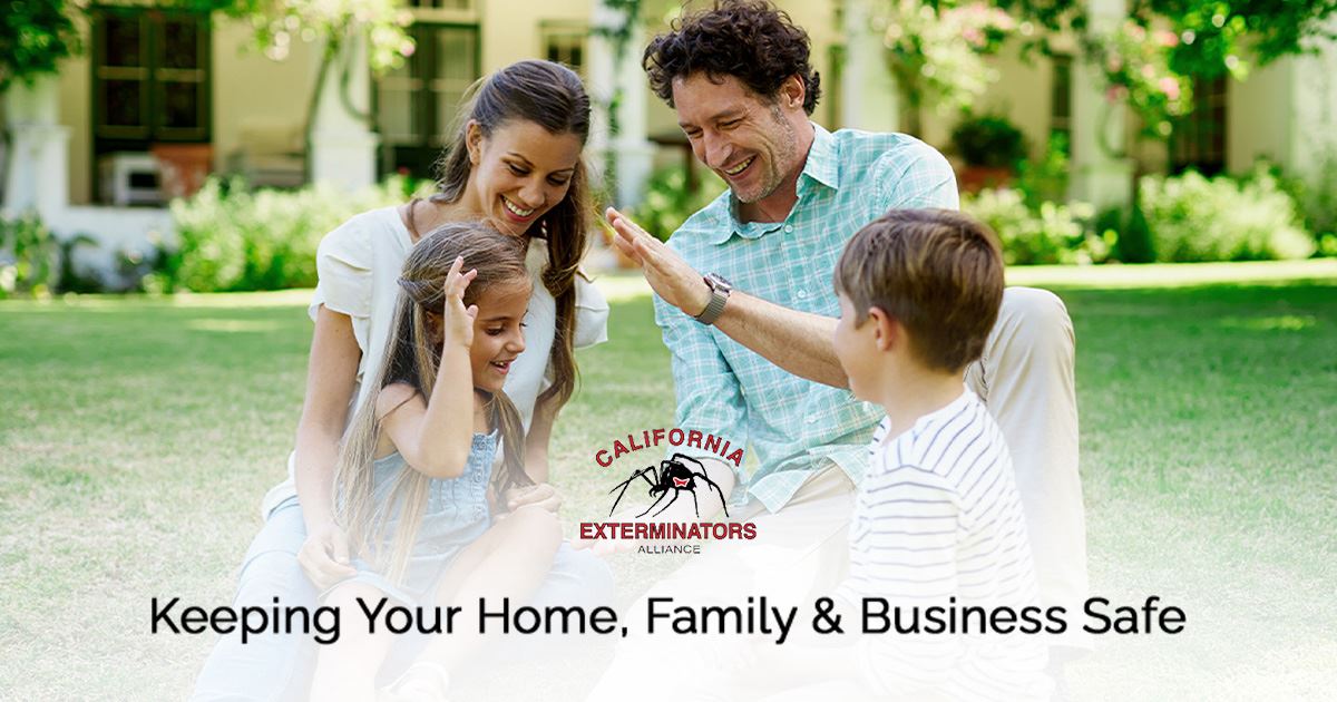 Pest Control in Lake County | California Exterminators Alliance